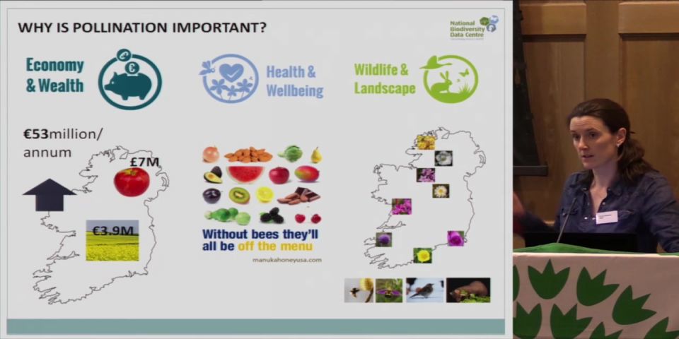 Dr Úna FitzPatrick | media.heanet.ie