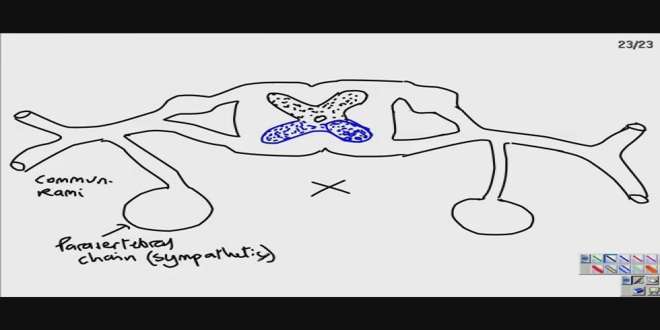 N10_Sympathetic_Chain_8_Mins_.mp4 | media.heanet.ie